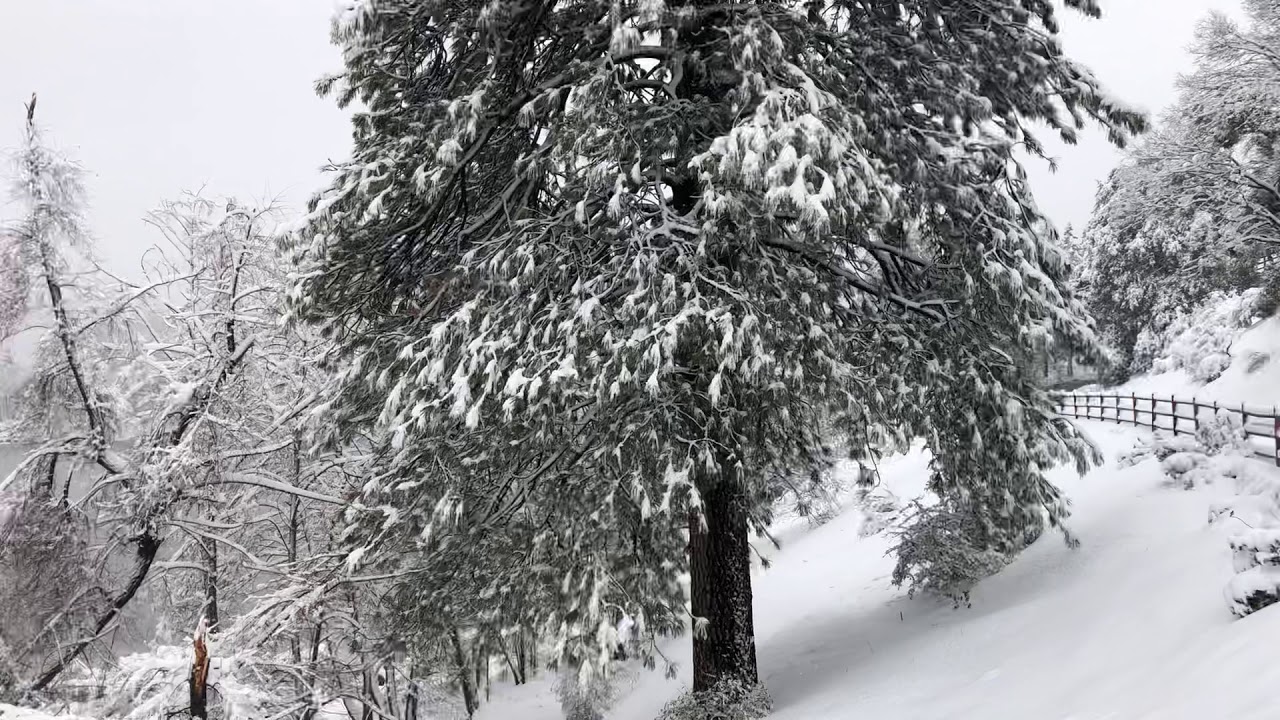 lake-gregory-snow – Mountain Montessori